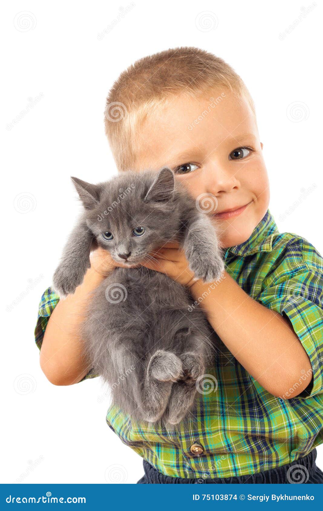 Little Boy Holding a Gray Kitten Stock Photo - Image of people, gray ...