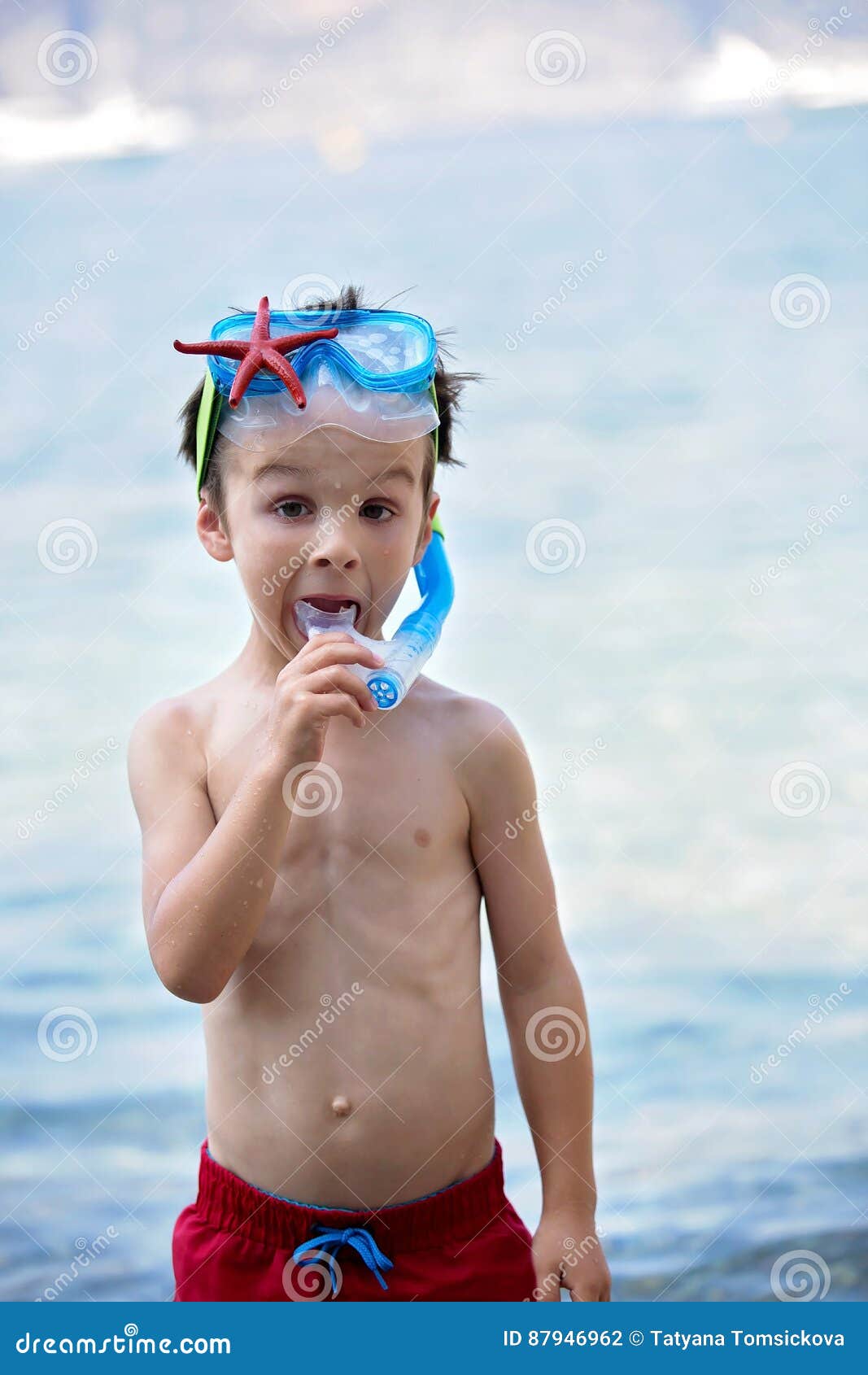 Little Boy Holding Red Five Point Starfish and Net in His Hands Stock ...