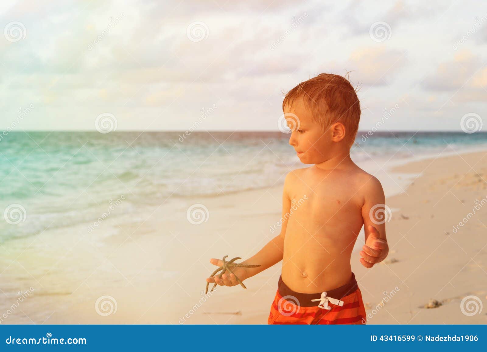 Little Boy Holding Starfish on Sunset Beach Stock Image - Image of ...