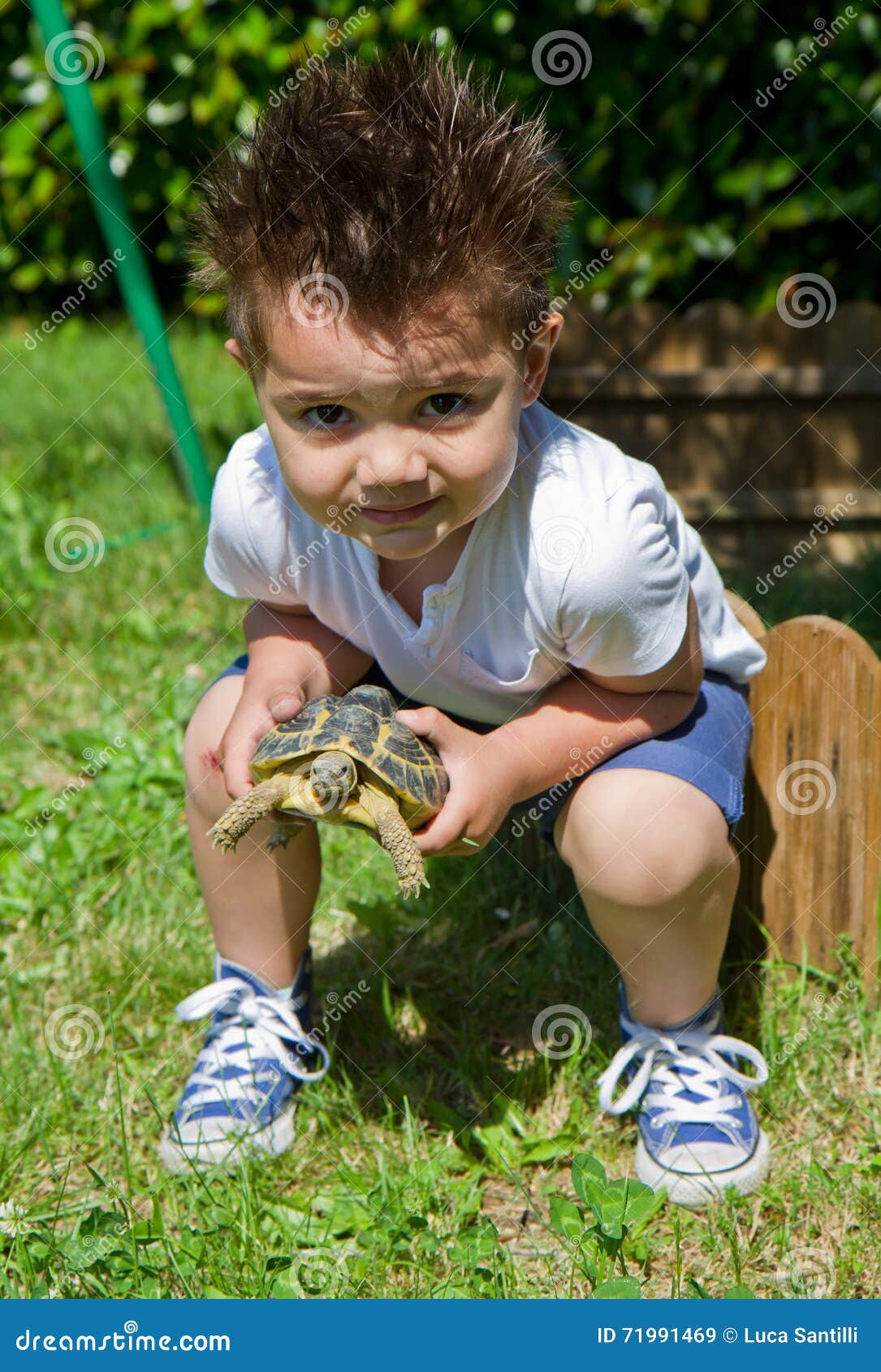 Little boy holding turtle stock image. Image of love - 71991469