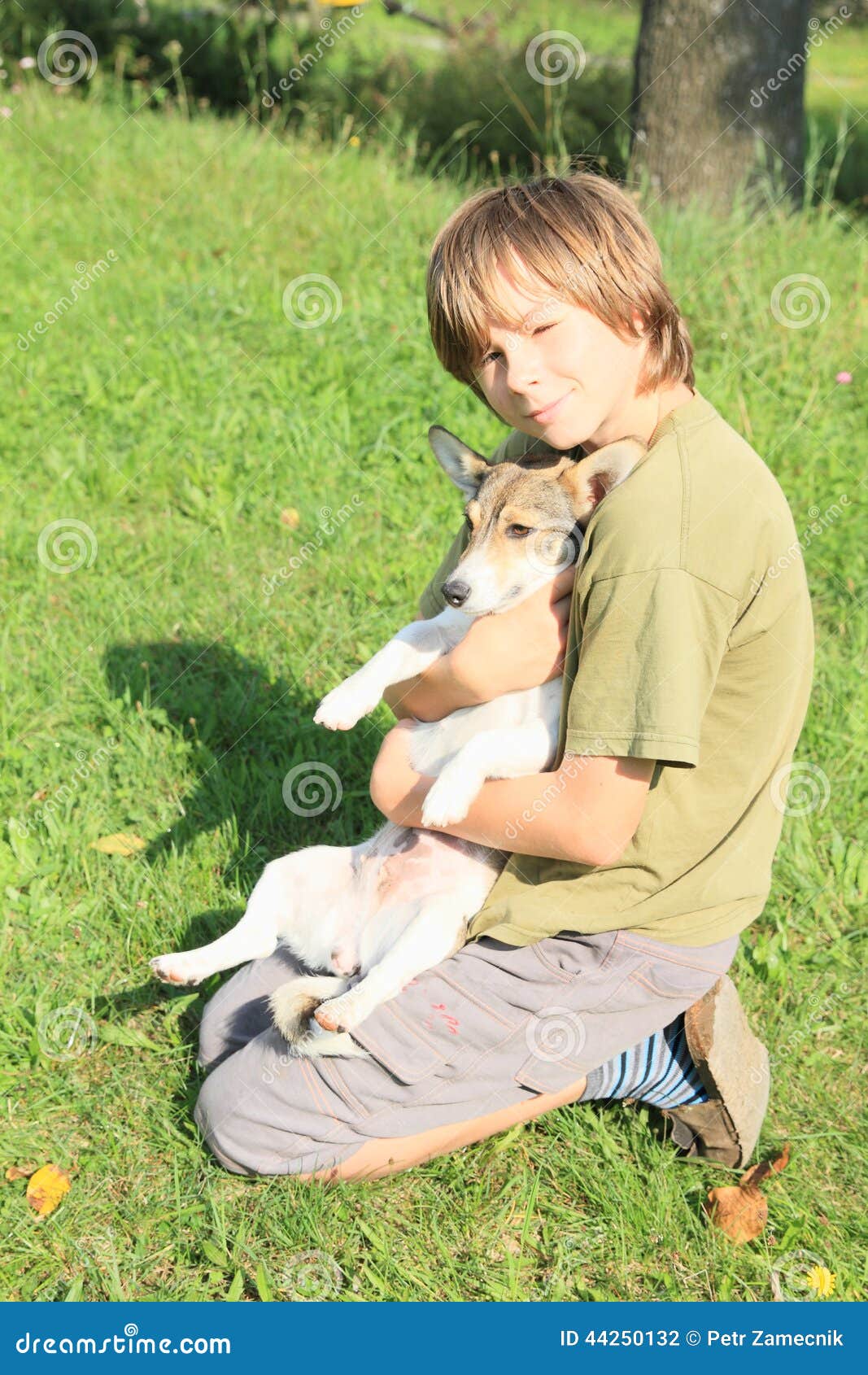 Little boy hugging a dog stock photo. Image of play, fondle - 44250132