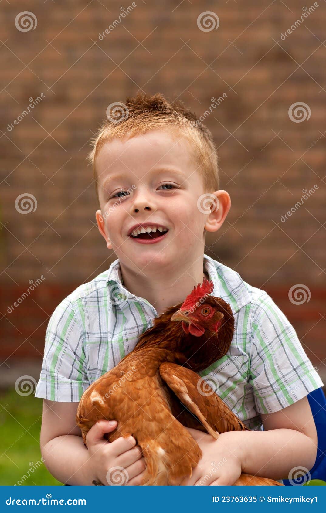 Little Boy Inlaying with Chicken Stock Image - Image of chicken, pretty ...