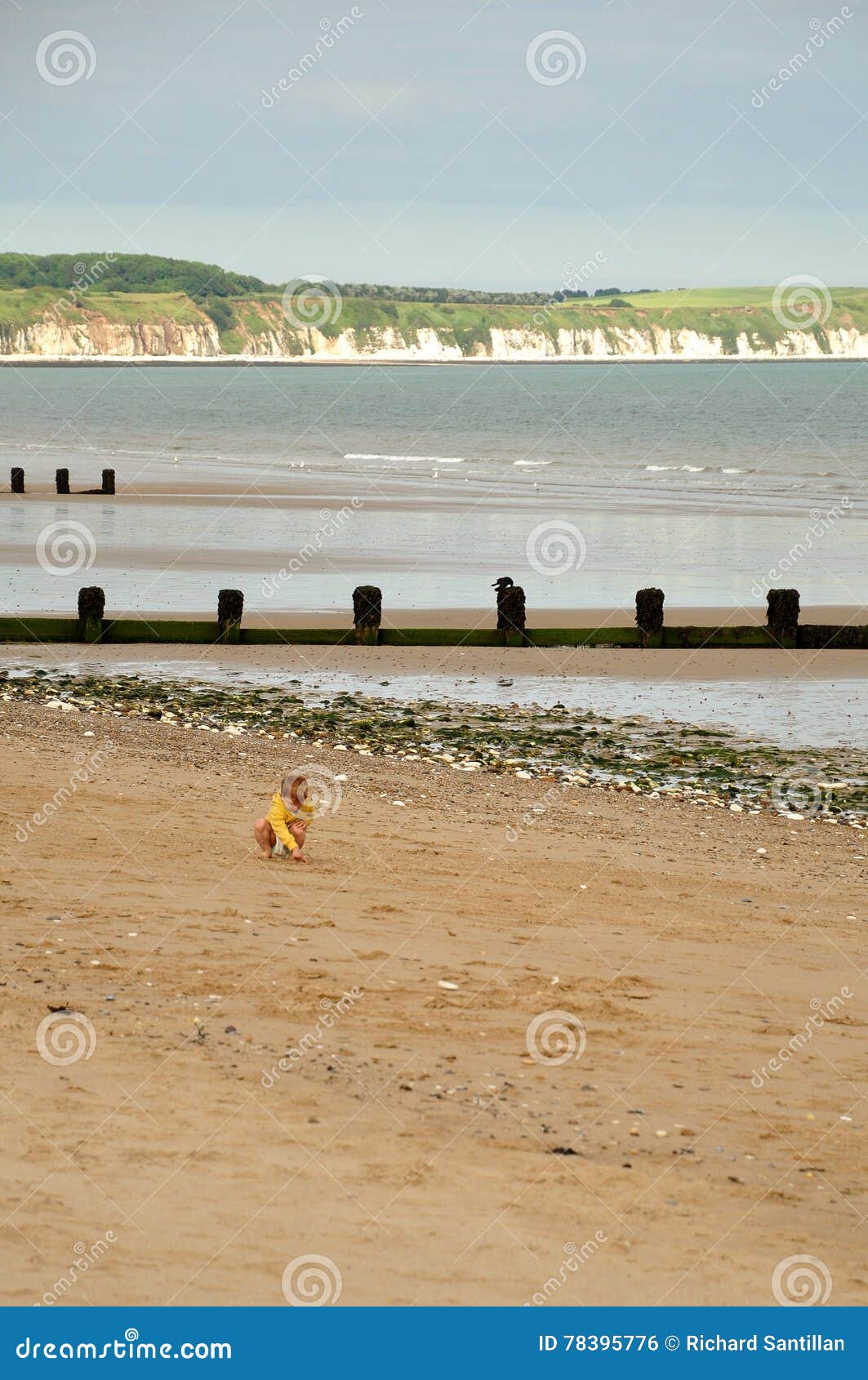 Little Boy Investigating the Beach Stock Photo - Image of summer ...
