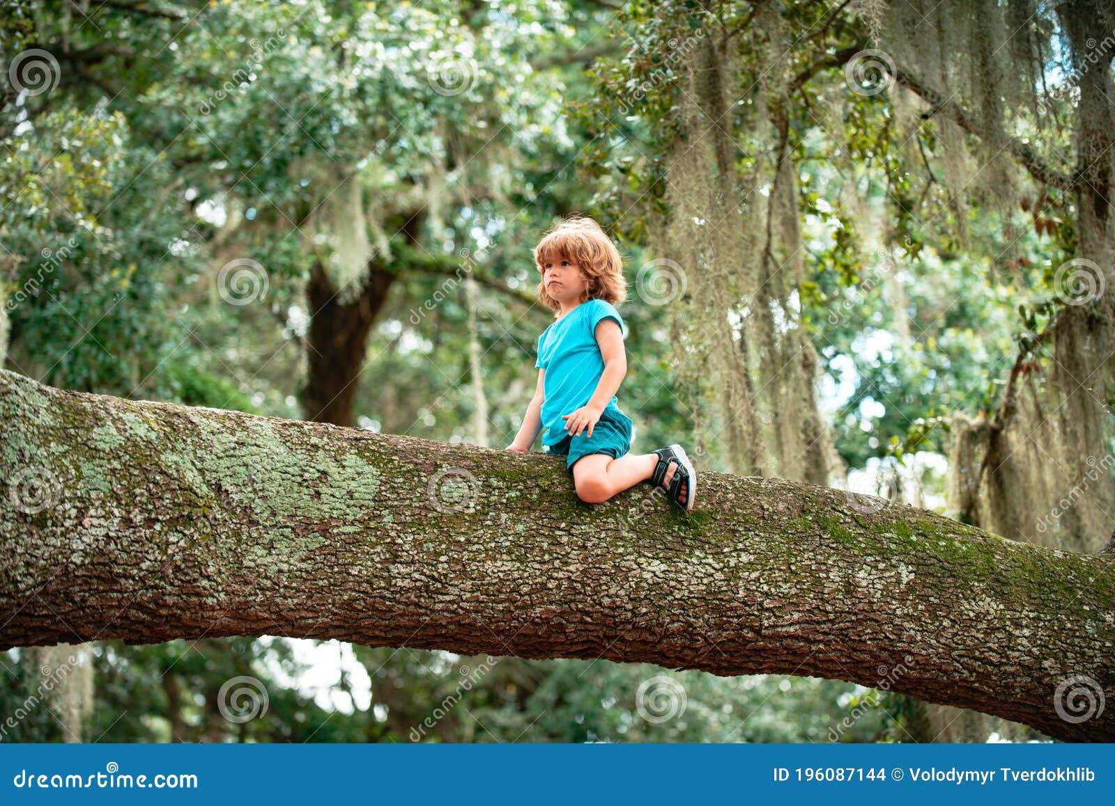 Little Boy Kid Climbed on Tree and Sitting on Tree Branch. Stock Photo ...