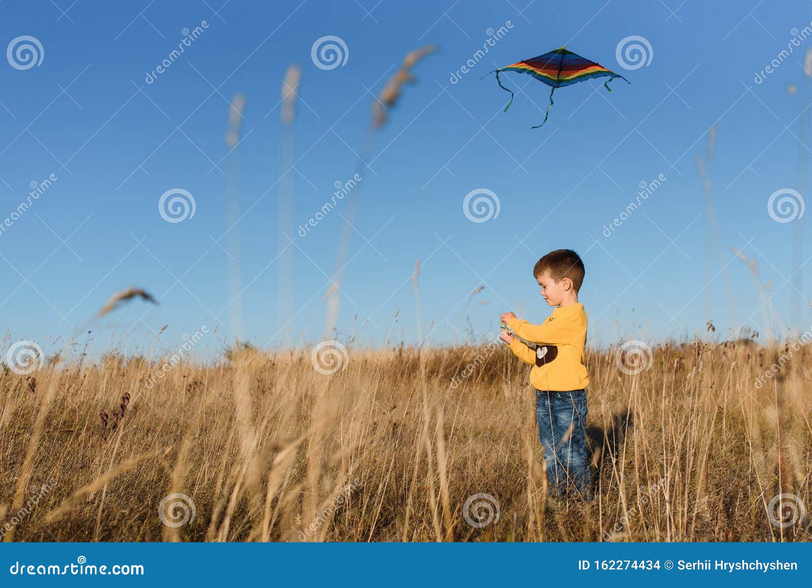 Little Boy with Kite Flying Over His Head Stock Photo - Image of little ...