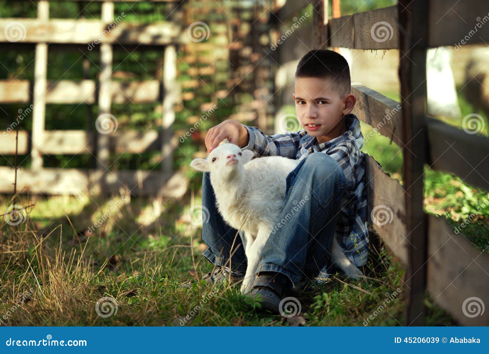 Little boy with lamb stock image. Image of cute, caucasian - 45206039