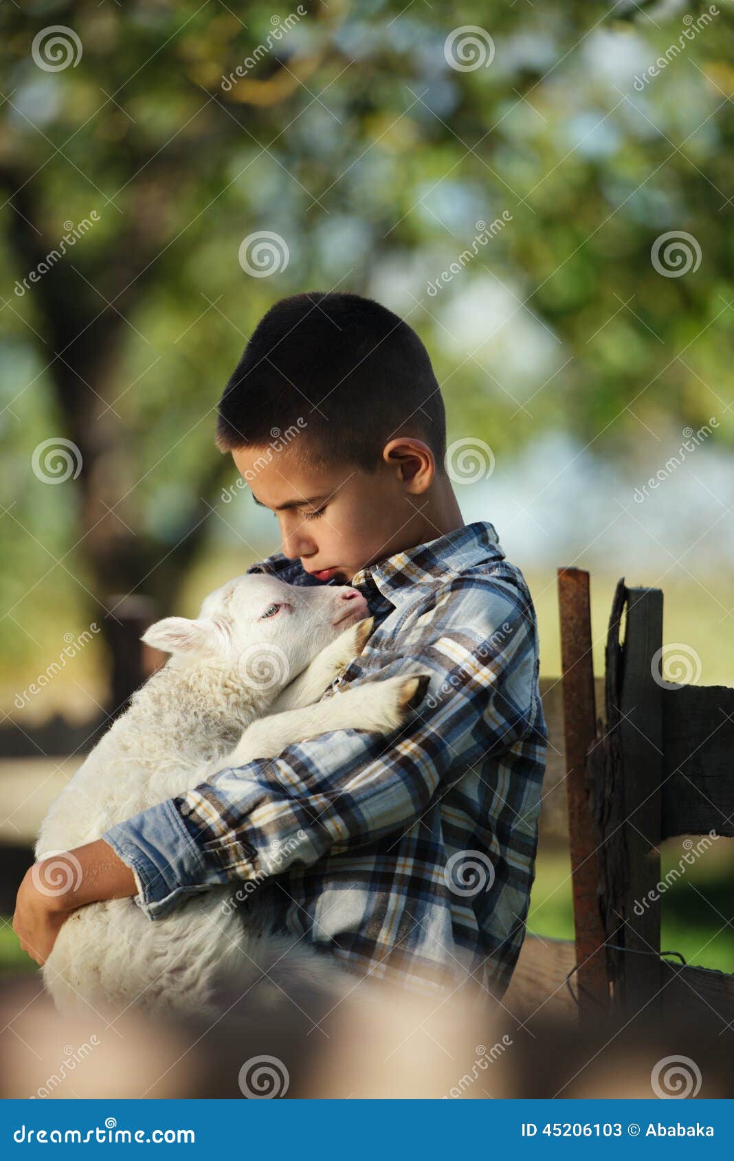 Little boy with lamb stock image. Image of farmyard, natural - 45206103