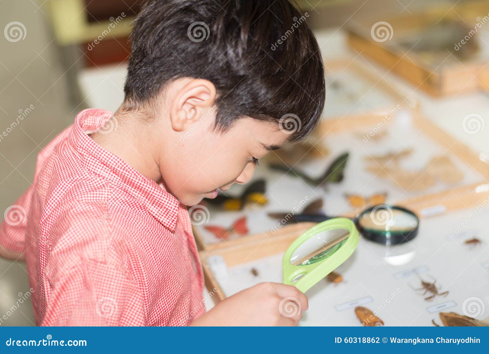 Little Boy Learning Science Class with Microscope in the Class Stock Photo - Image of looking ...