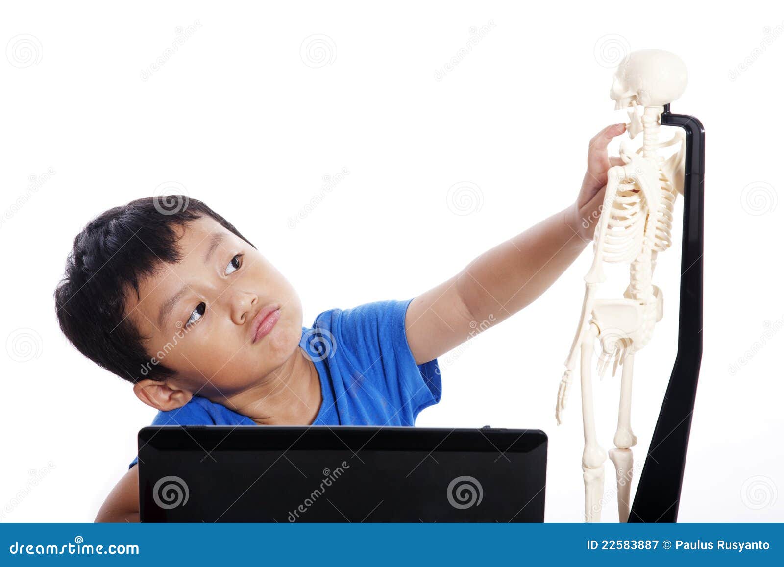 Little Boy Learns Human Anatomy Stock Image - Image of student, asian ...