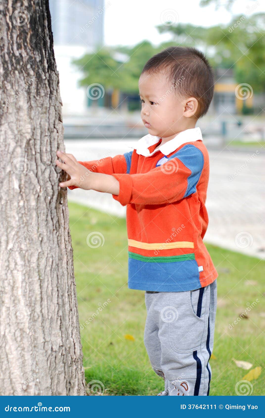 Little boy lookat the tree stock image. Image of childhood - 37642111