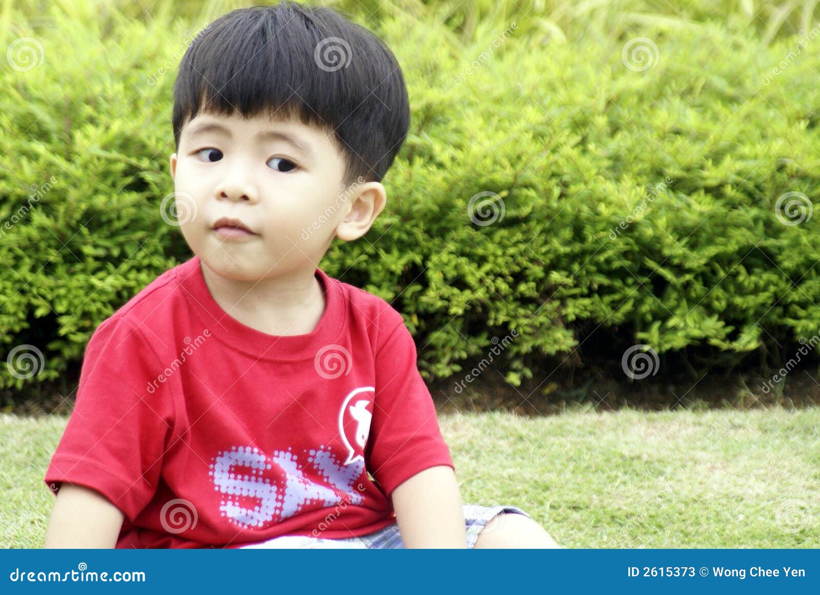 Little boy looking left stock image. Image of curious - 2615373