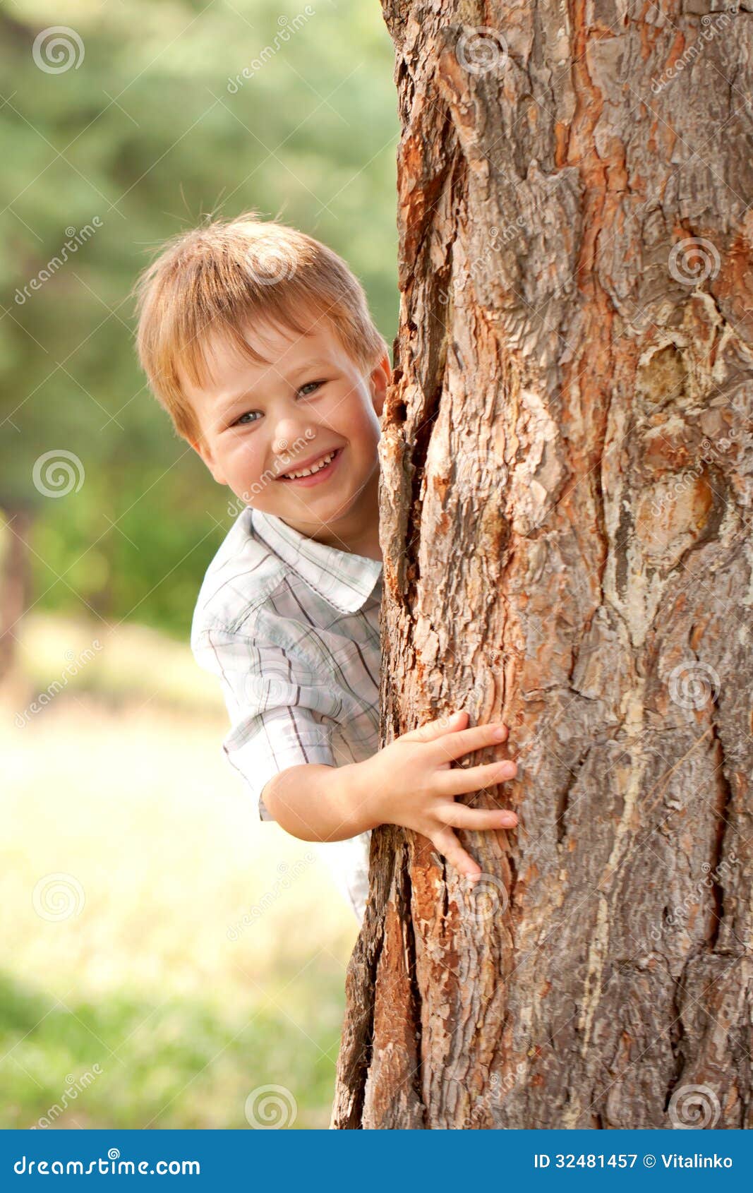 Little Boy Looking Out from Behind Tree. Stock Image - Image of green ...