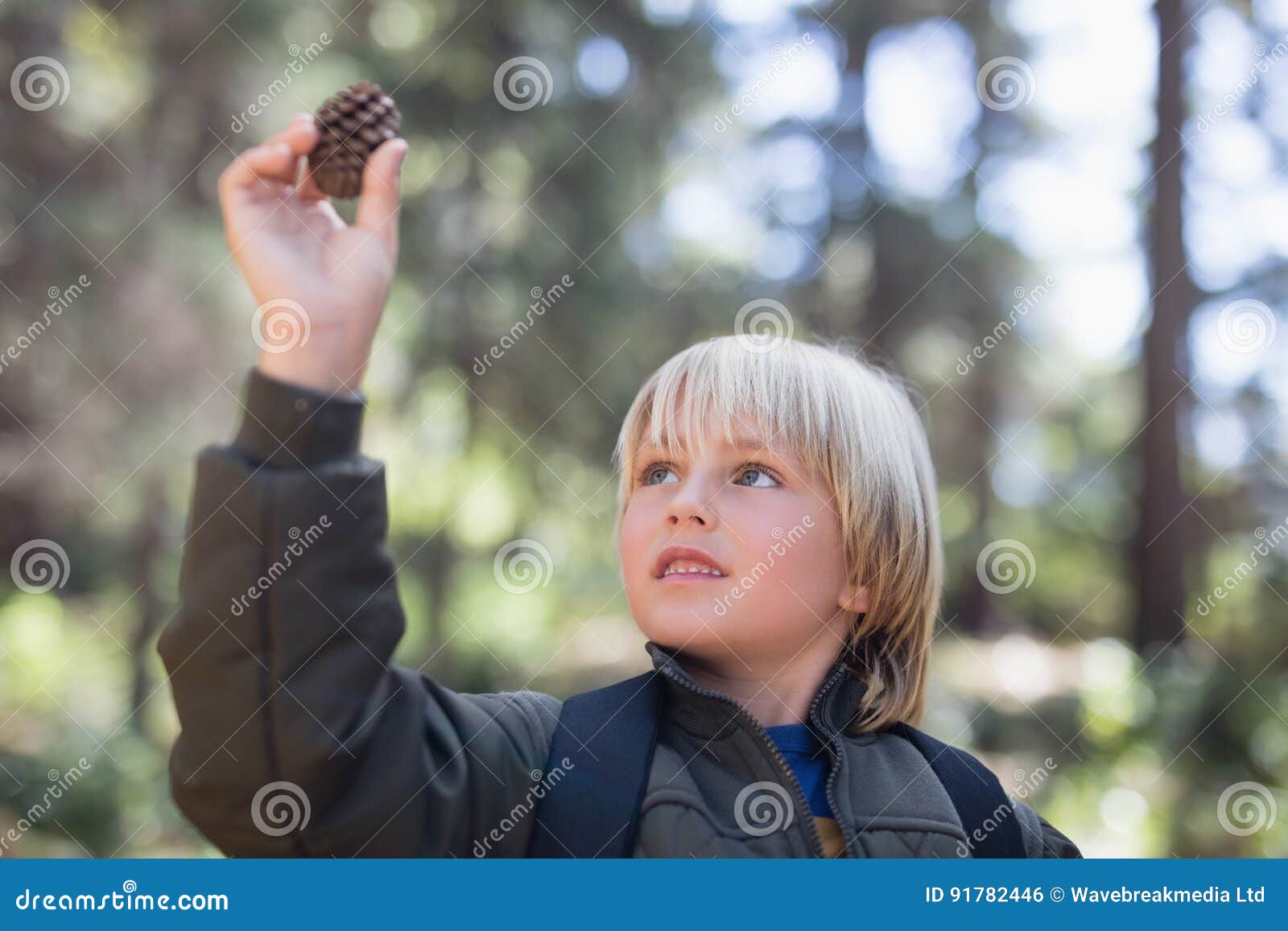 Little Boy Looking at Pine Cone in Forest Stock Photo - Image of front ...