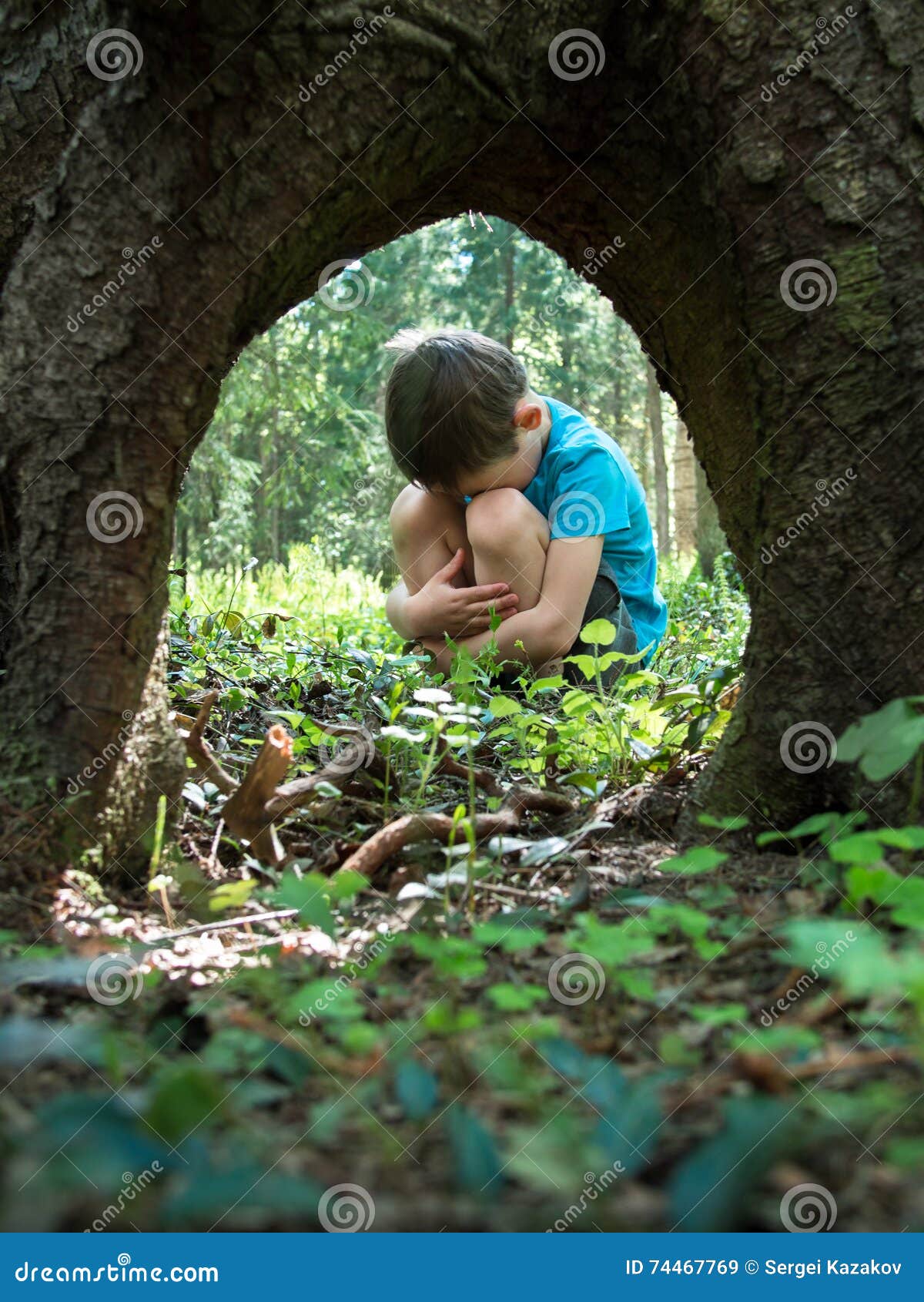 Little Boy Lost in the Woods Stock Image - Image of male, embraced ...