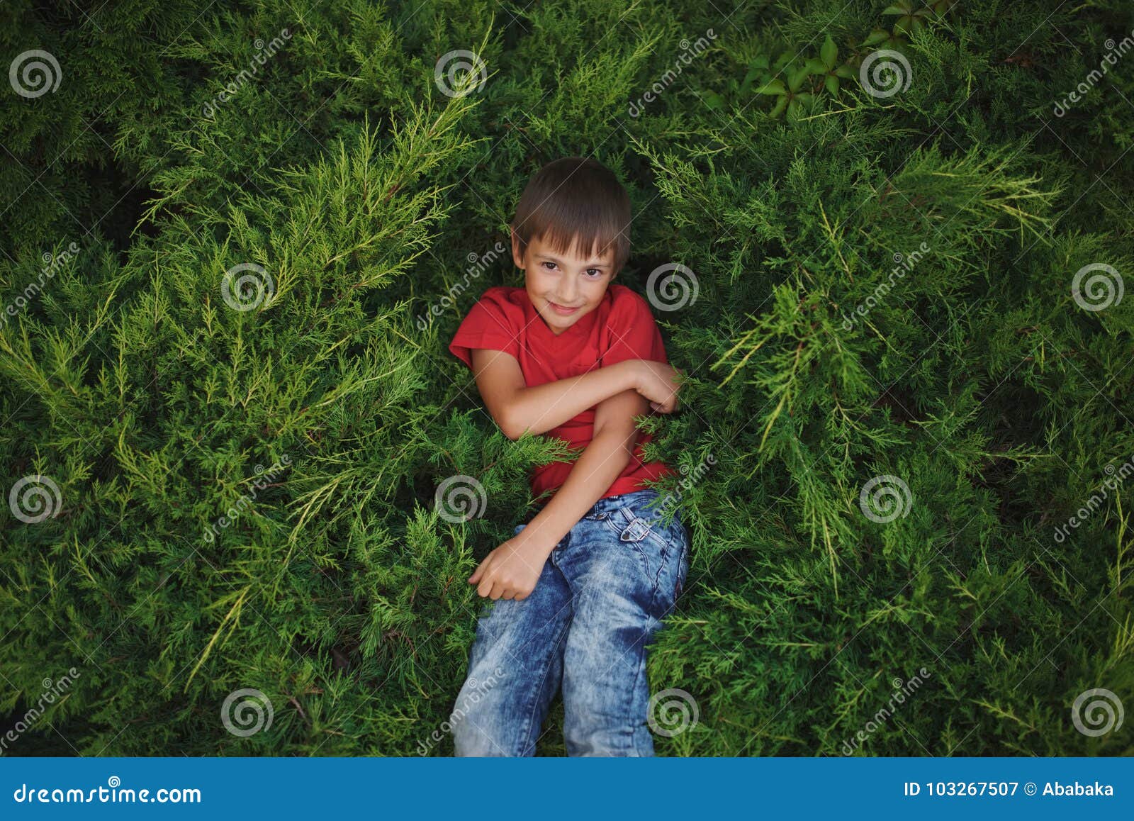 Little Boy Lying on Juniper Stock Image - Image of happy, caucasian ...