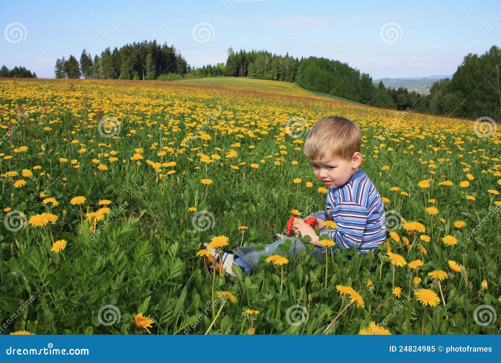 Little boy on the meadow stock image. Image of park, nature - 24824985