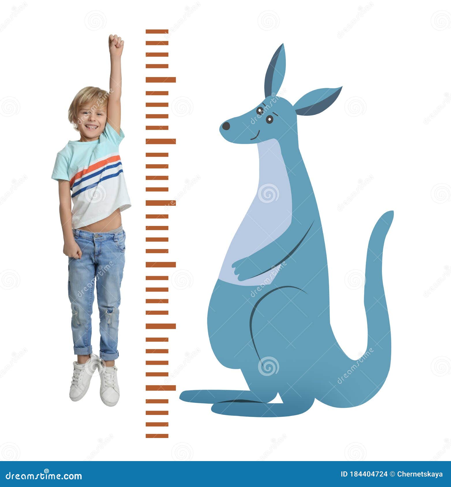 Boy Measuring Height and Drawing of Kangaroo on White Background Stock ...