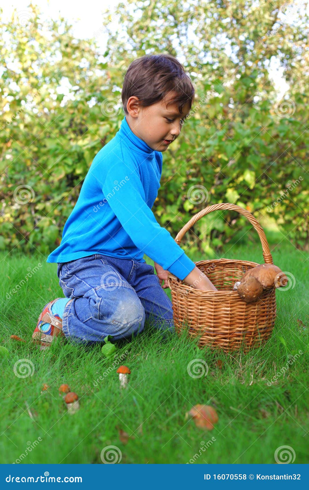 Little boy with mushrooms stock photo. Image of fresh - 16070558