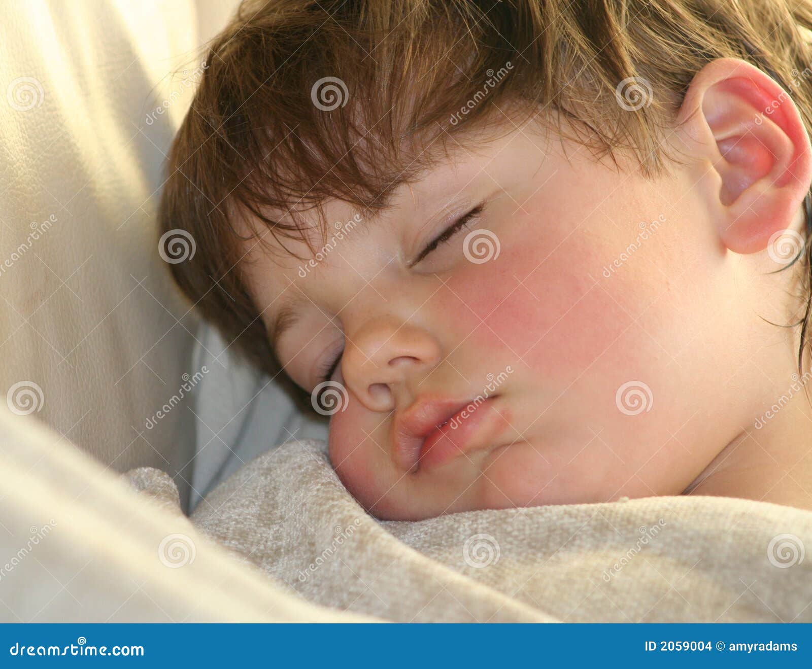 Little boy napping stock photo. Image of napping, peace - 2059004