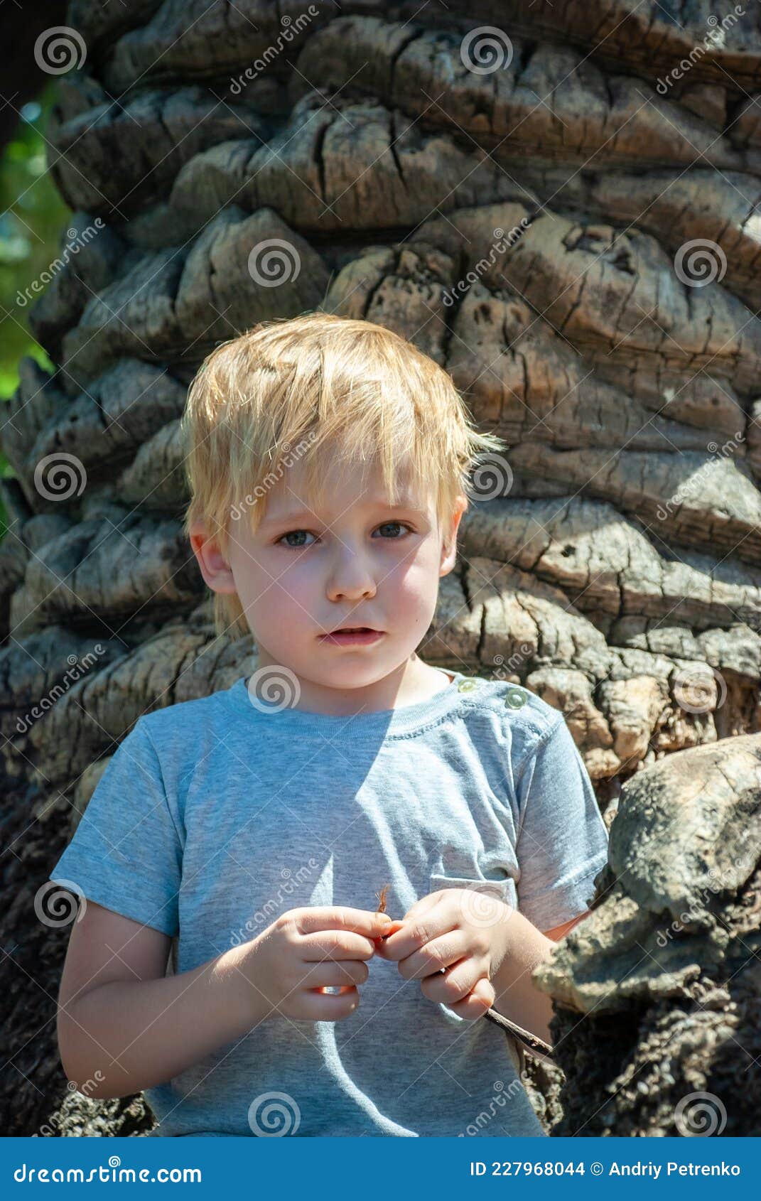 Little Boy Near a Palm Tree in the Park Stock Photo - Image of pool ...
