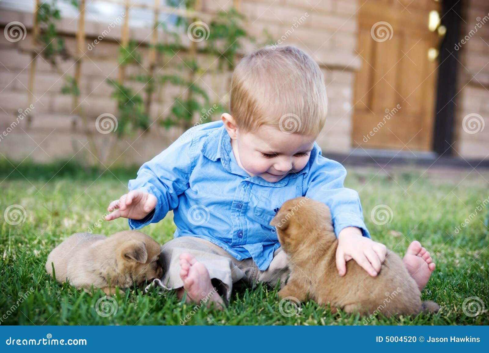 Little boy petting dog stock photo. Image of doggies, friendly - 5004520