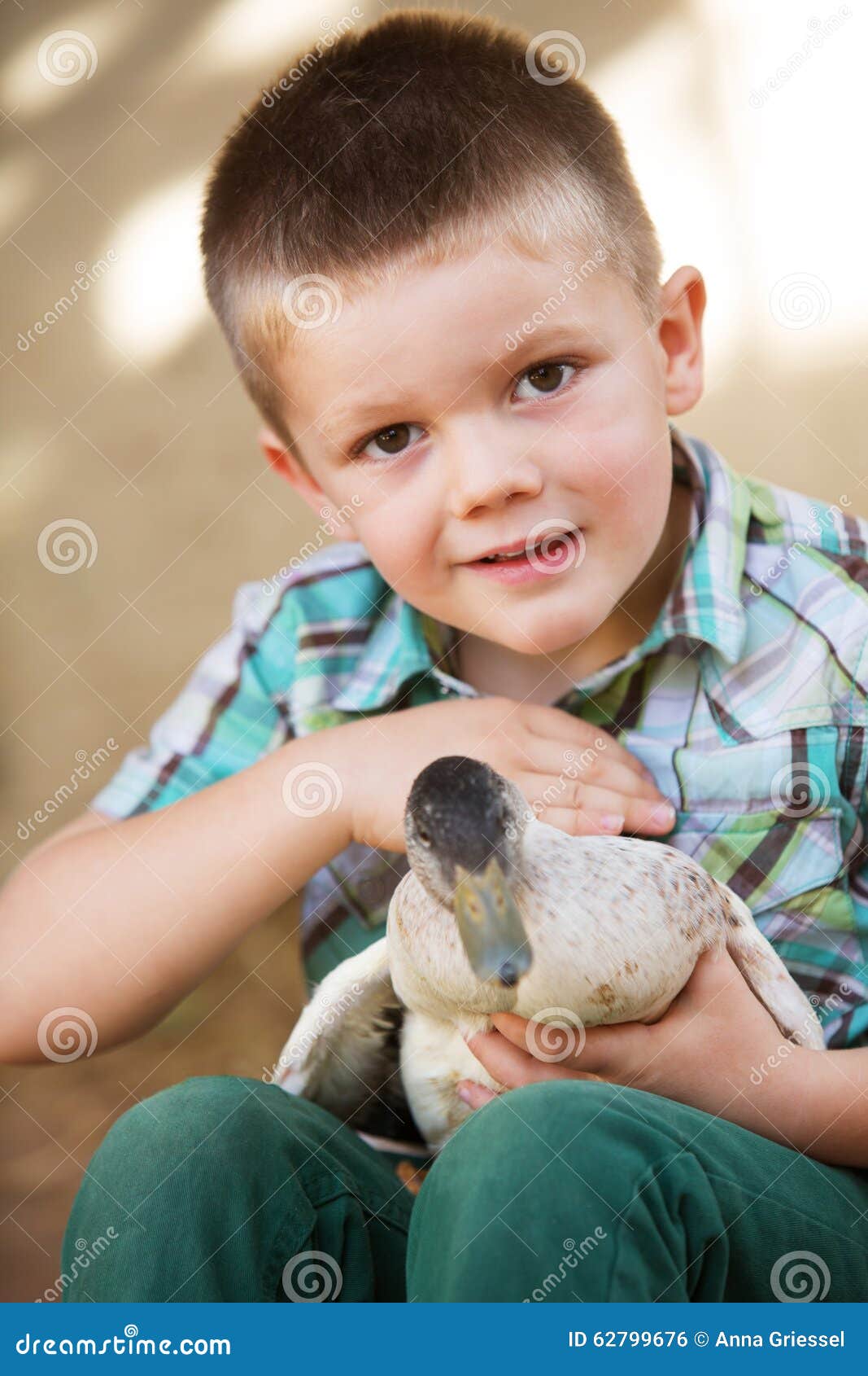 Little Boy Petting Duck stock photo. Image of pleasant - 62799676