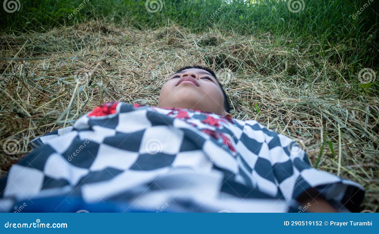 A Little Boy on a Pile of Dry Hay Stock Photo - Image of country ...