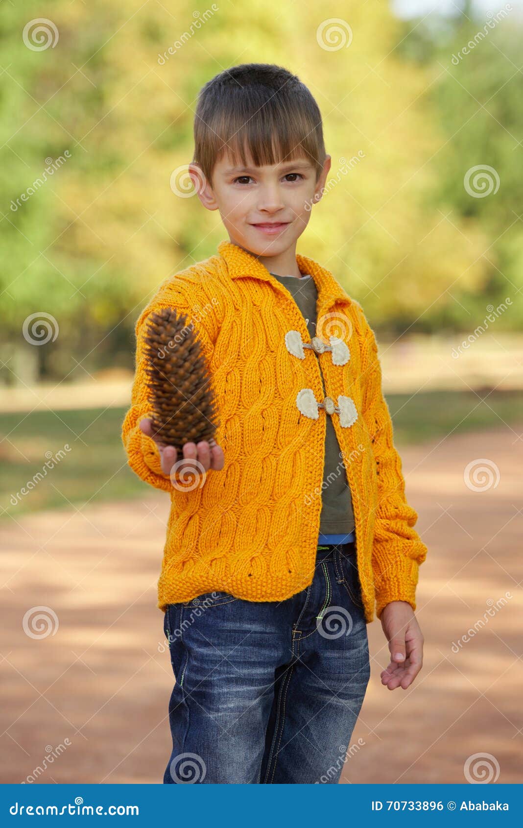 Little Boy with Pinecones in Park Stock Photo - Image of forest ...
