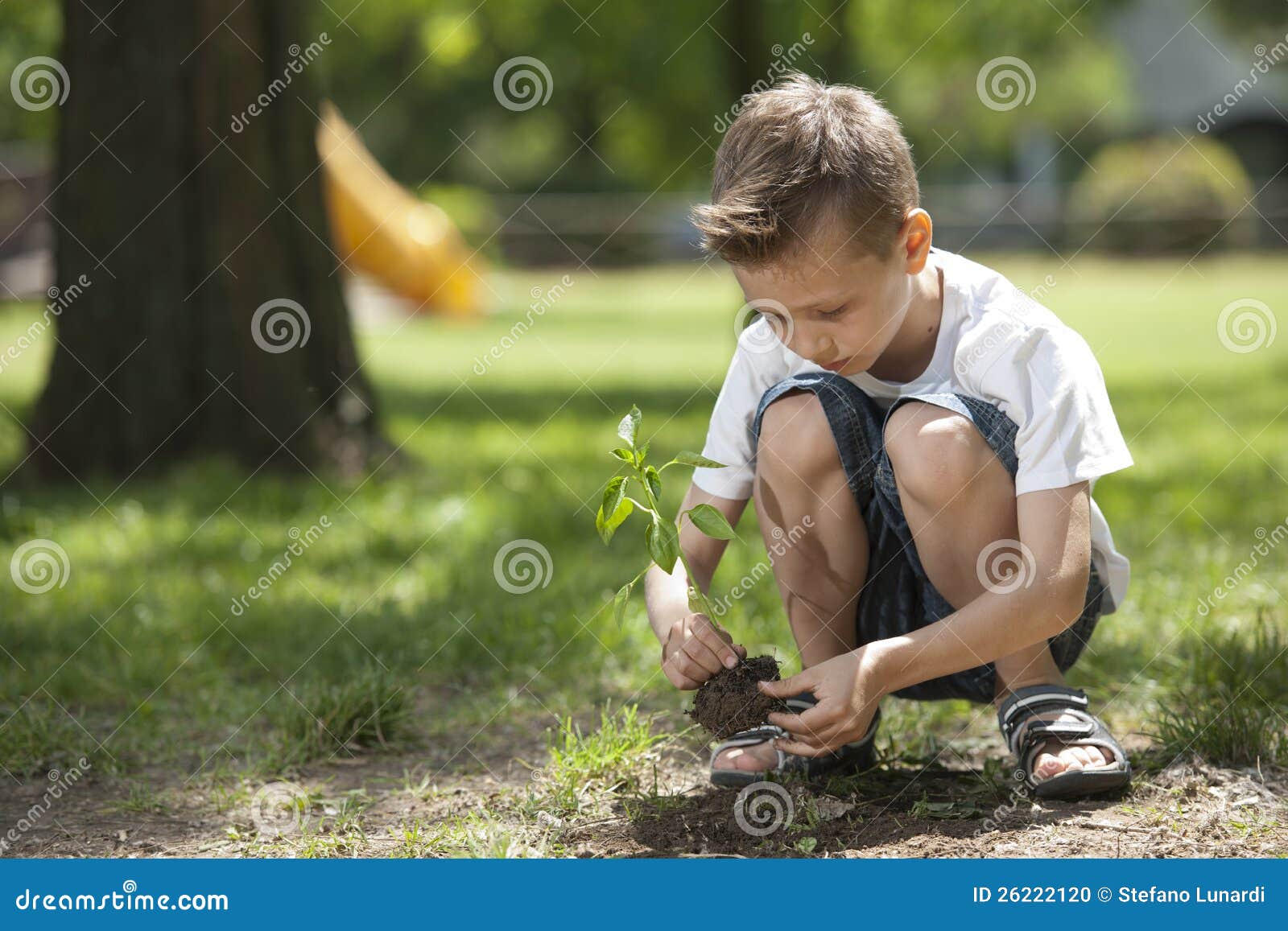 Little boy planting stock photo. Image of caucasian, environmentalist ...