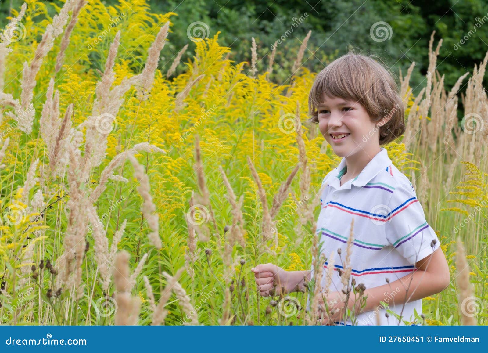 Little Boy Playing in a Flower Field Stock Image - Image of natural ...