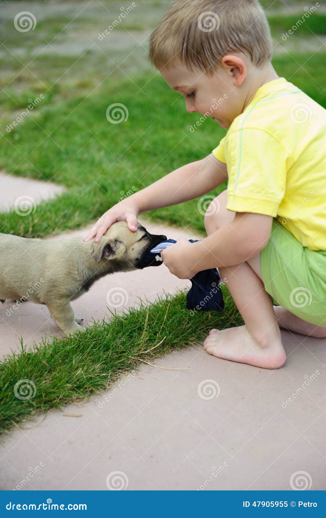 Little Boy Playing with His Cute Dog Stock Image - Image of person ...