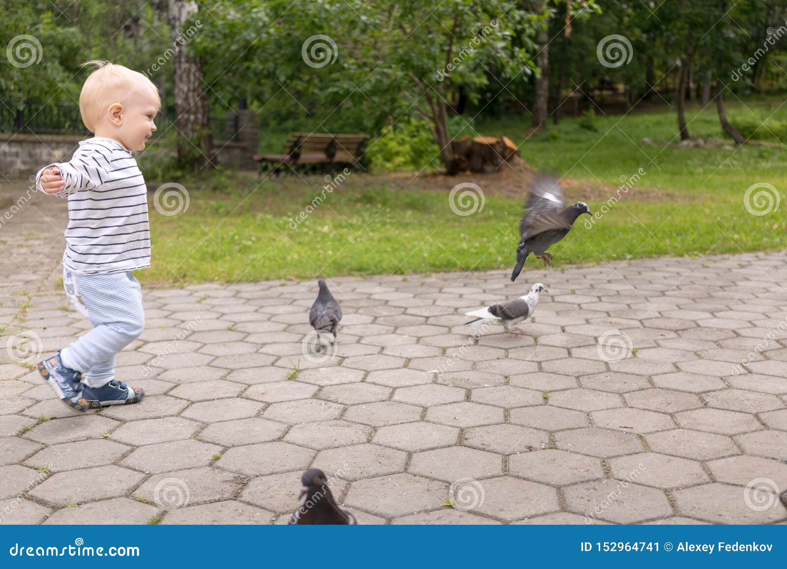 Little Boy Playing with Pigeons in the Summer Green Park Stock Image ...
