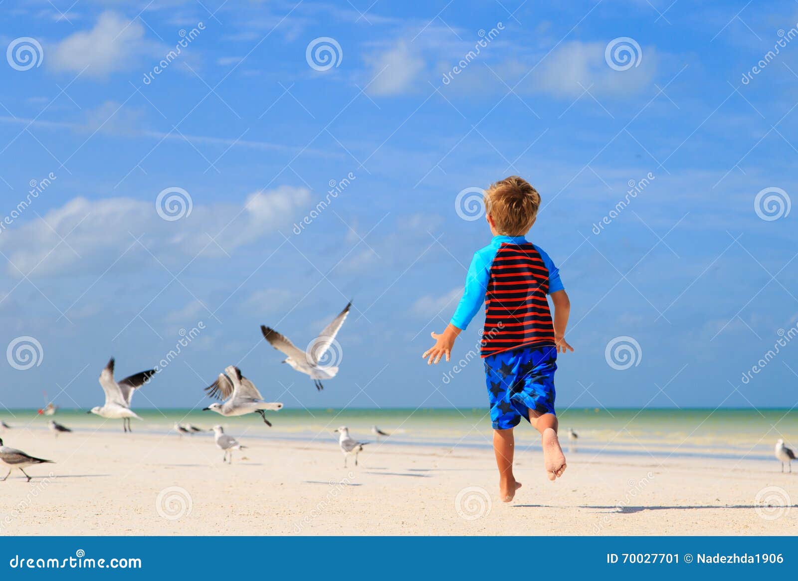 Little Boy Playing with Seagulls on Beach Stock Image - Image of ...