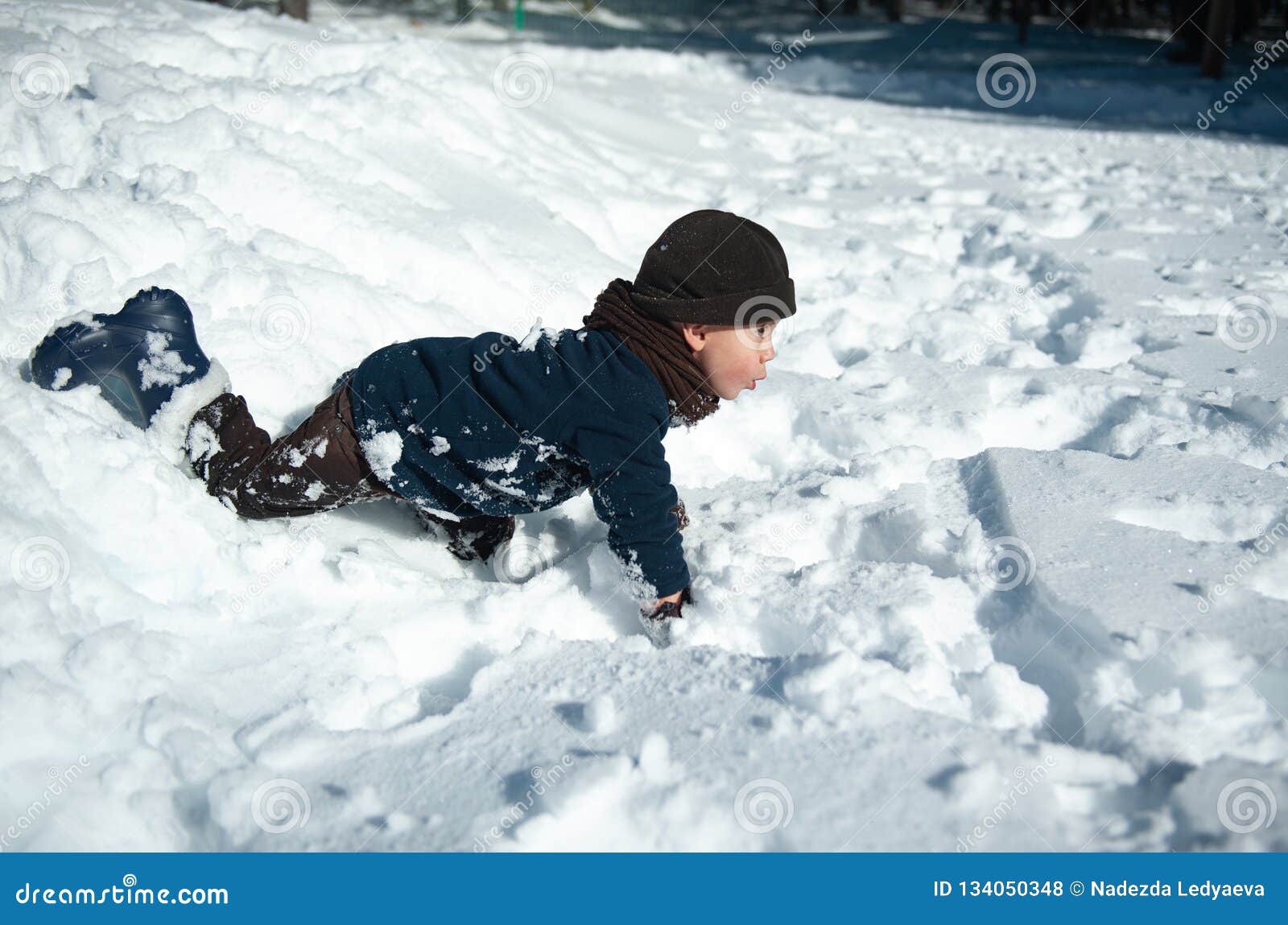 Little Boy Playing in the Snow in Winter Stock Photo - Image of ...