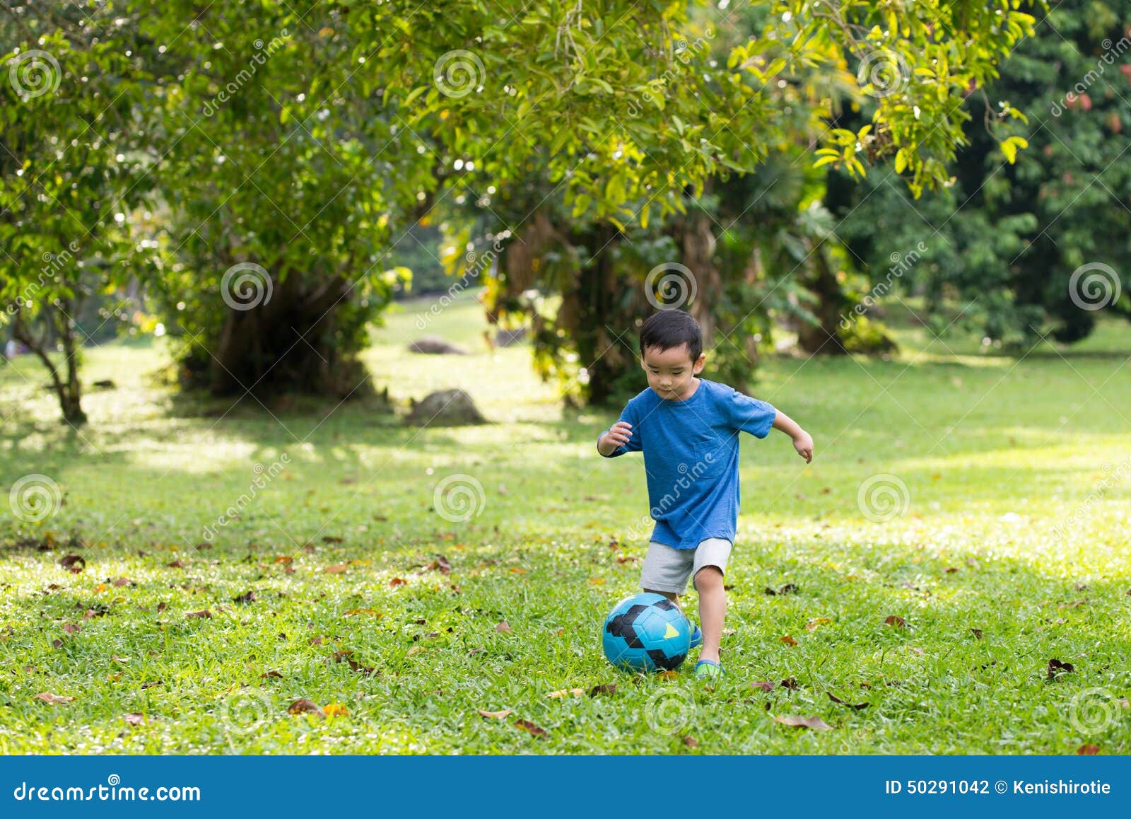 Little boy playing soccer stock photo. Image of summer - 50291042