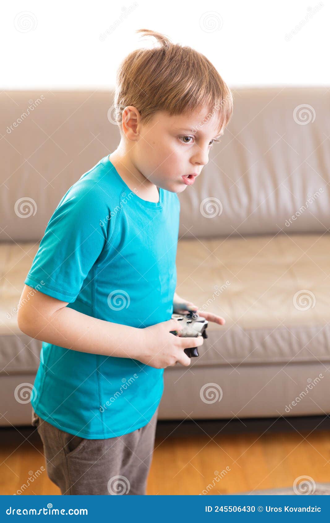 Boy playing video games stock photo. Image of gamer - 245506430
