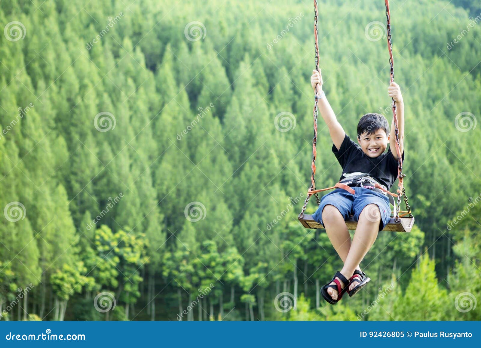 Little Boy Playing on a Swing Stock Image - Image of nature, green ...