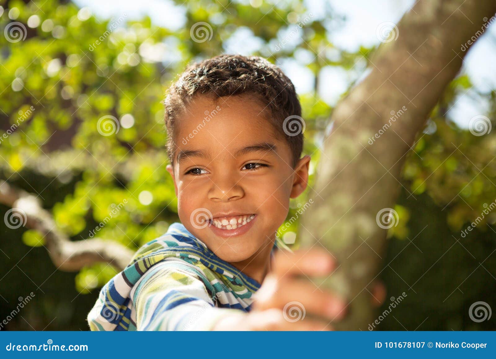 Little Boy Playing in a Tree. Stock Image - Image of tree, summer ...