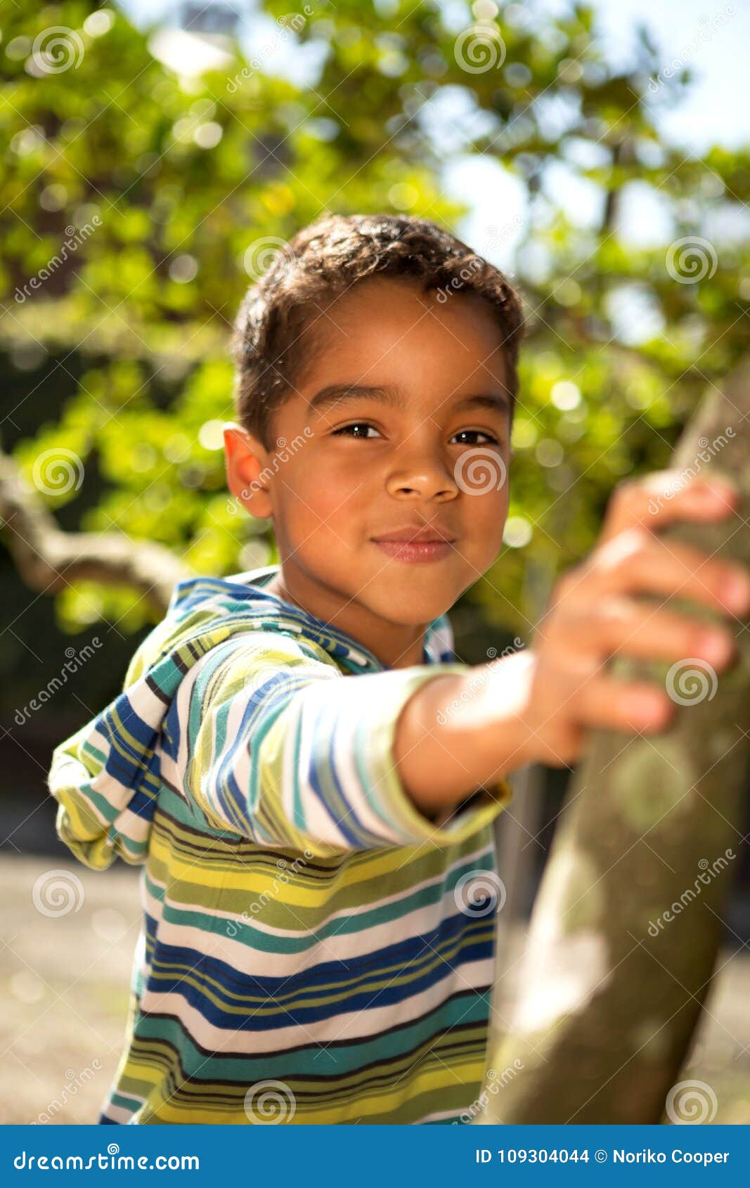 Little Boy Playing in a Tree. Stock Photo - Image of season, boys ...