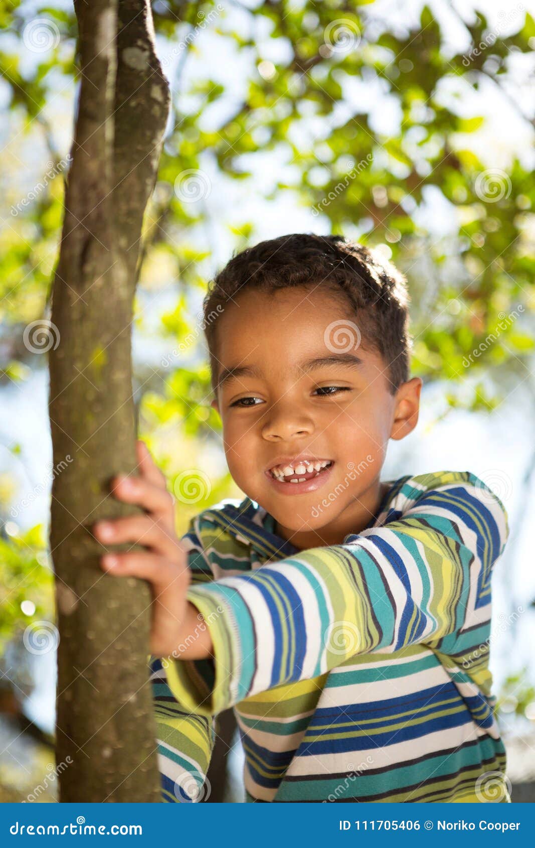 Little Boy Playing in a Tree. Stock Photo - Image of play, tree: 111705406