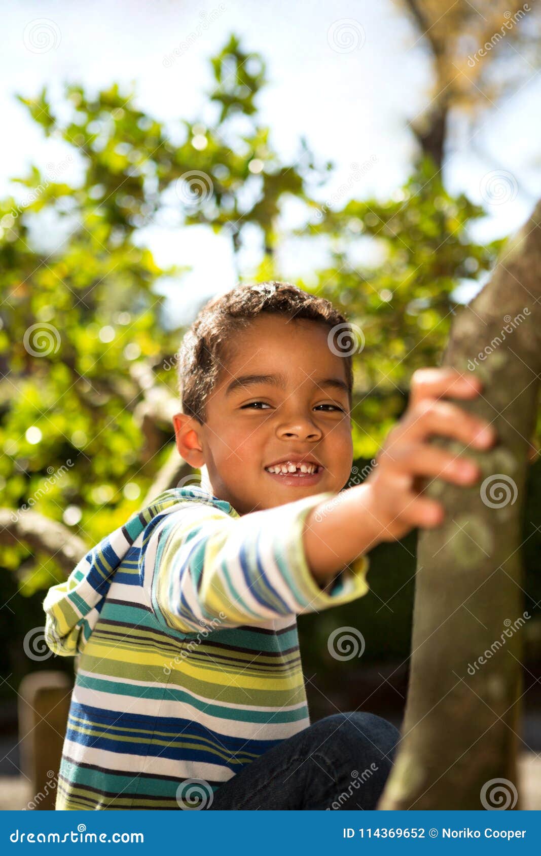Little Boy Playing in a Tree. Stock Photo - Image of playground, summer ...