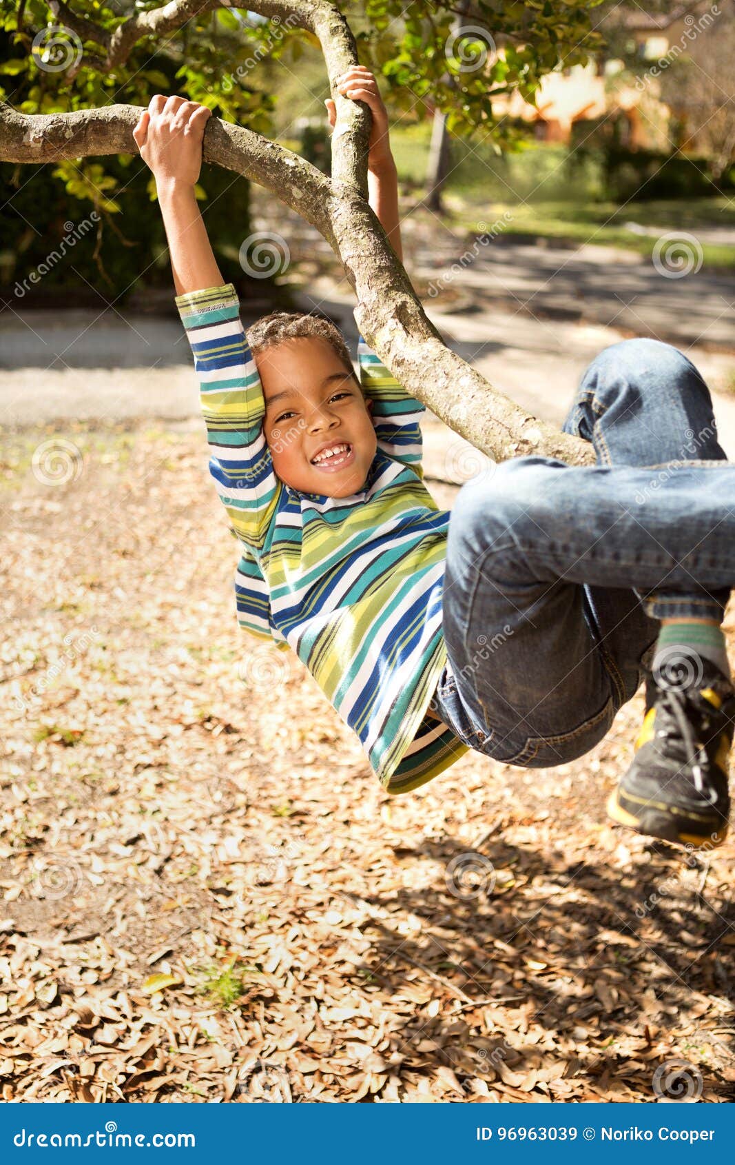 Little Boy Playing in a Tree. Stock Image - Image of looking, portrait ...