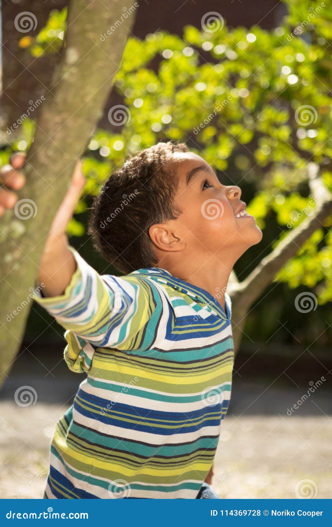 Little Boy Playing in a Tree. Stock Photo - Image of tree, strength ...