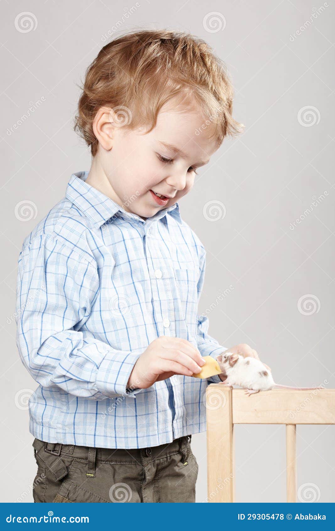 Little Boy Plays with Mouse Stock Photo - Image of hold, child: 29305478