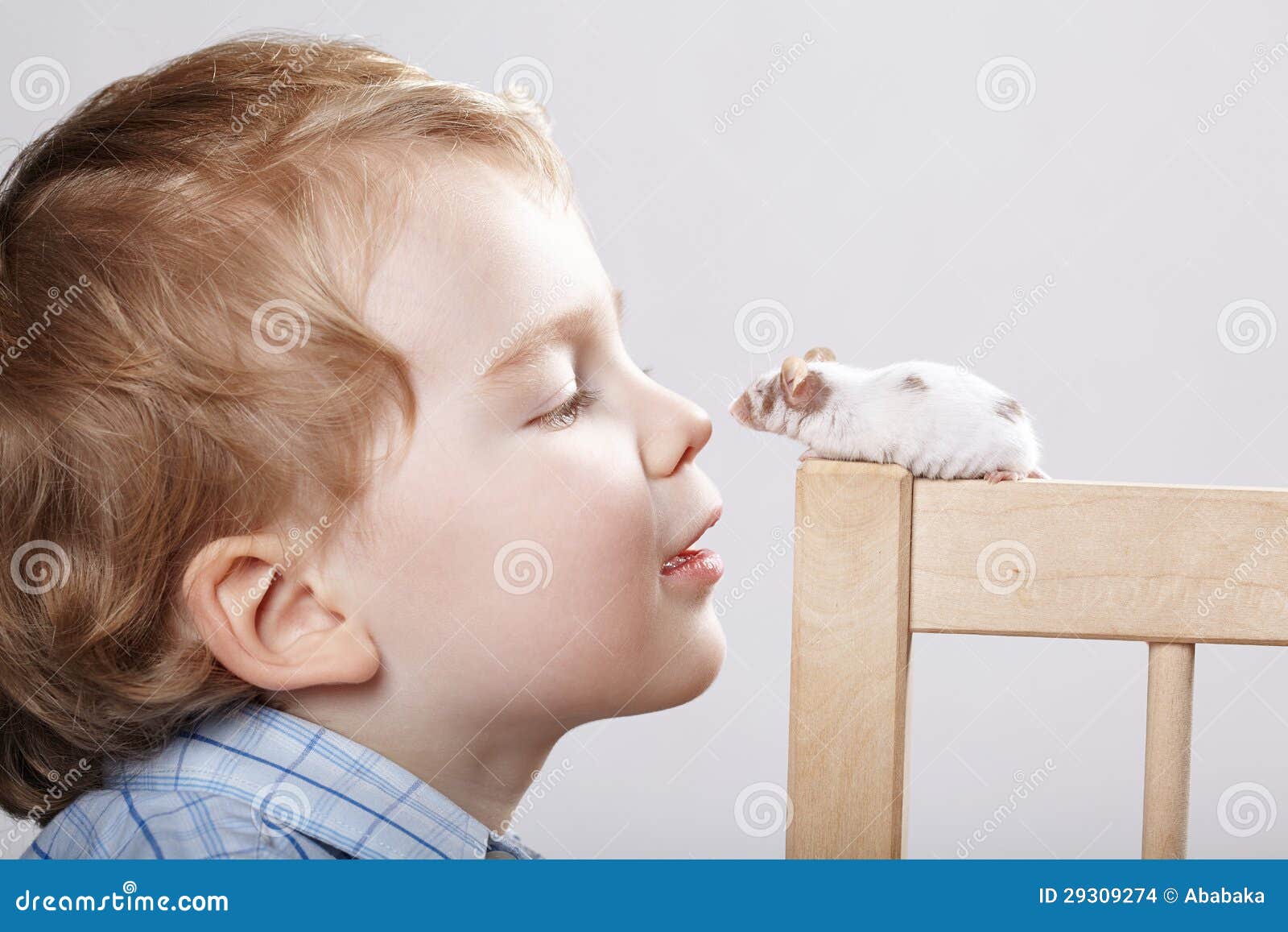 Little Boy Plays with Mouse Stock Photo - Image of brown, playful: 29309274