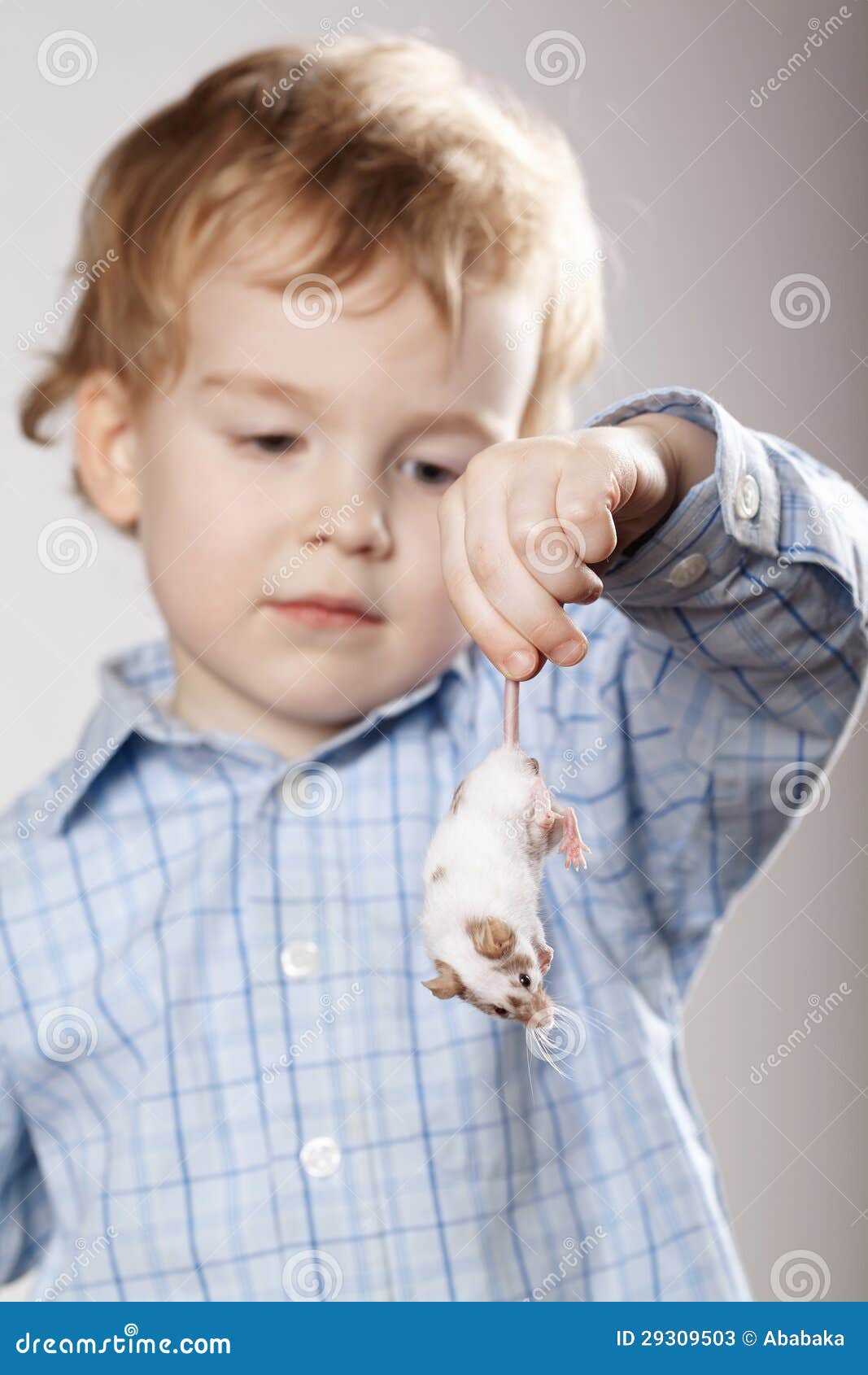 Little Boy Plays with Mouse Stock Image - Image of mock, people: 29309503