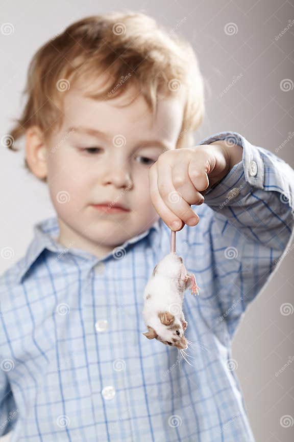 Little Boy Plays with Mouse Stock Image - Image of mock, people: 29309503