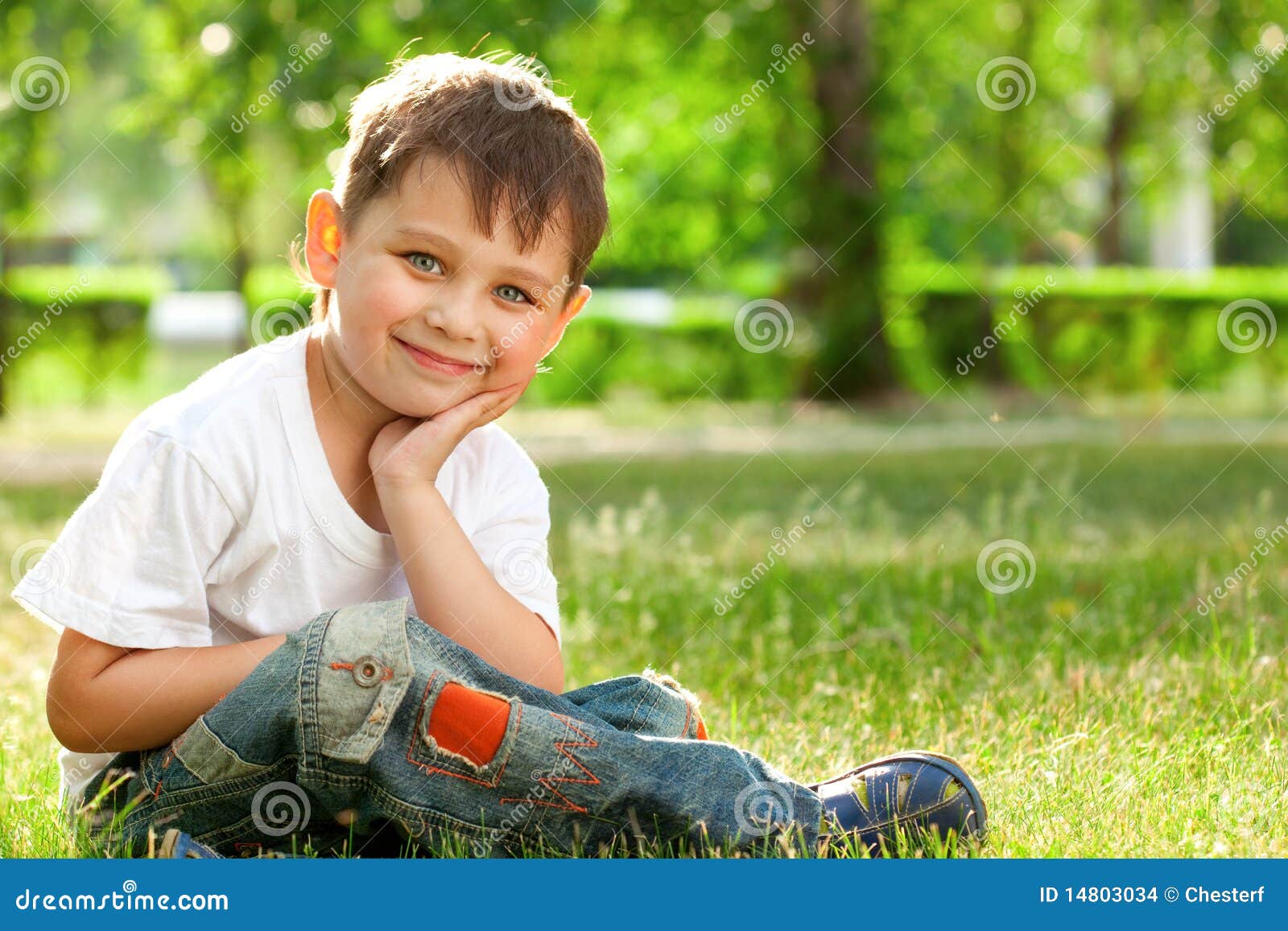 Little boy portrait stock photo. Image of caucasian, nature - 14803034