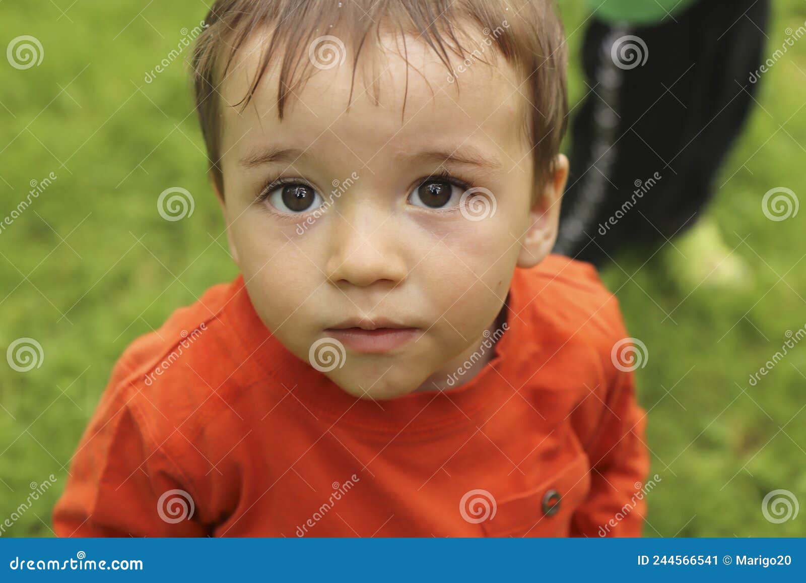 Little boy. stock image. Image of llittle, babies, rejoice - 244566541