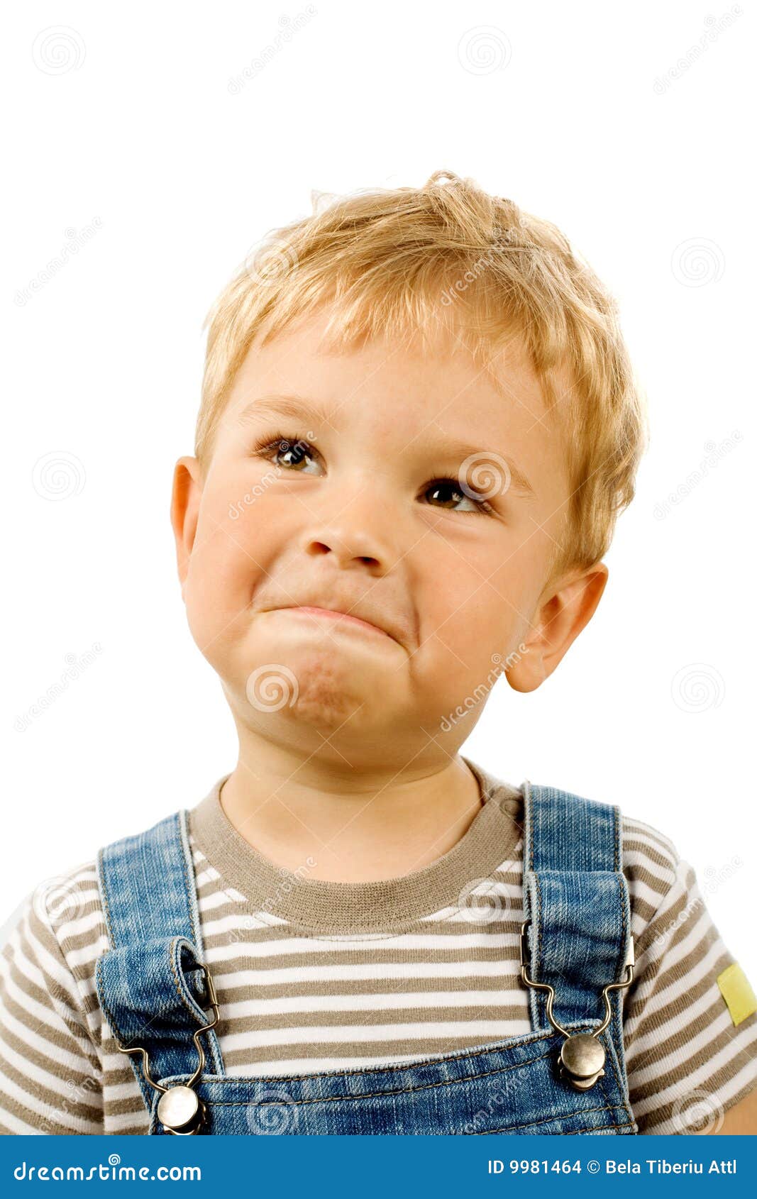 Little boy portrait stock photo. Image of little, male - 9981464